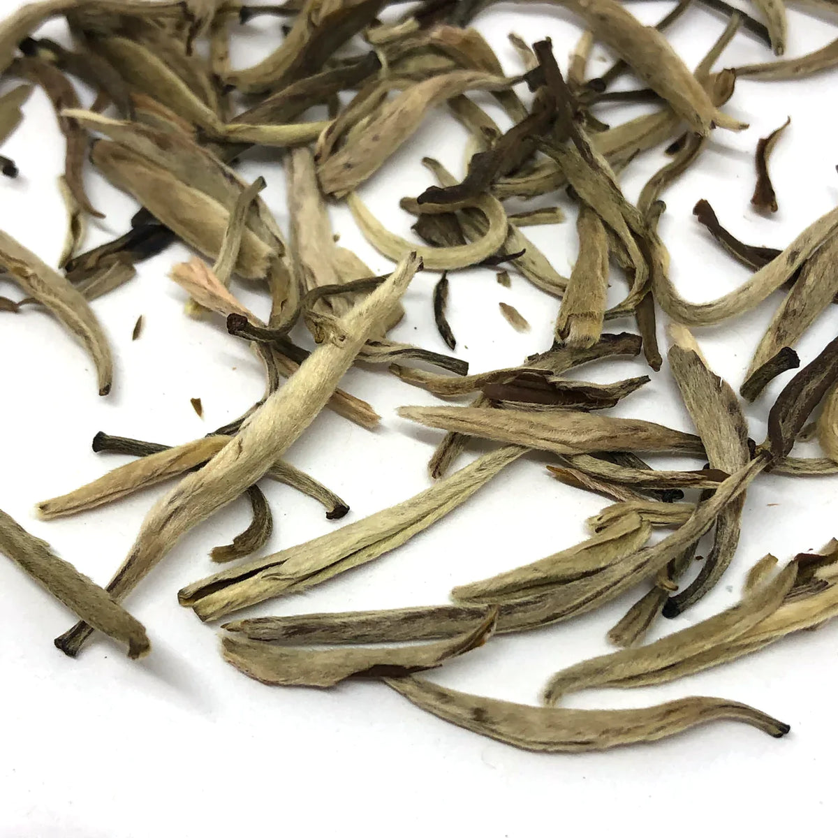 Jasmine Silver Needle - Mo Li Yin Zhen – Ronnefeldt